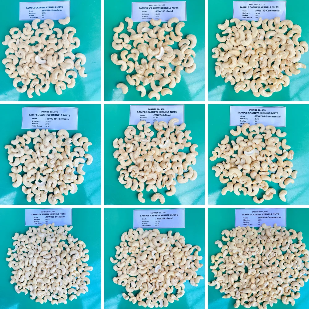 Trusted Factory Cashew Nuts W320 Cashew Nuts WW180, WW240, WW320 WS ...