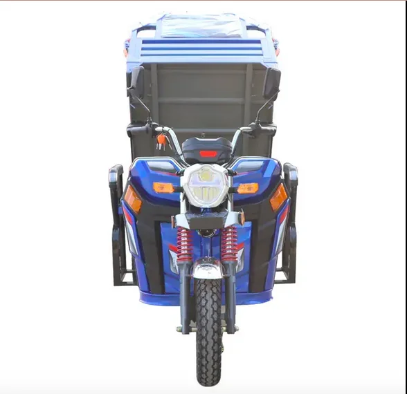 Luxury 500w Folding Tricycle Cargo Bike 3 Wheel Electric Cargo Bike Et ...