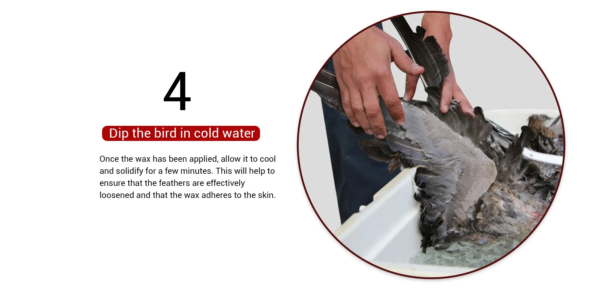 Duck Plucking Wax PW01 - Efficient Feather Removal Wax