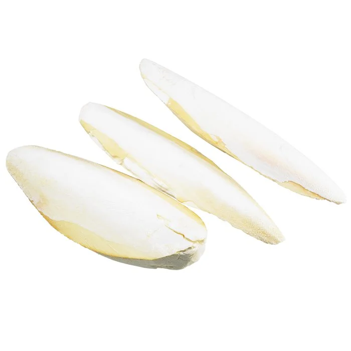 Dried Washes Cuttlefish Bone 15% Max Moisture Top Grade With Best Price ...