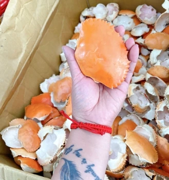 Large Crab Shell For Food Stuff Seafood / Crab Shell For Farci Cuisine ...