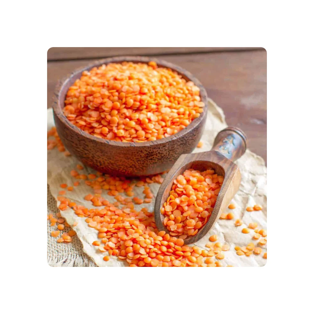 Red Lentils Competitive Red Lentils Prices In India High Quality ...