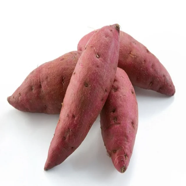 Sweet Potato Carton Boxes Common Cultivation Type 100% Natural 170 ...