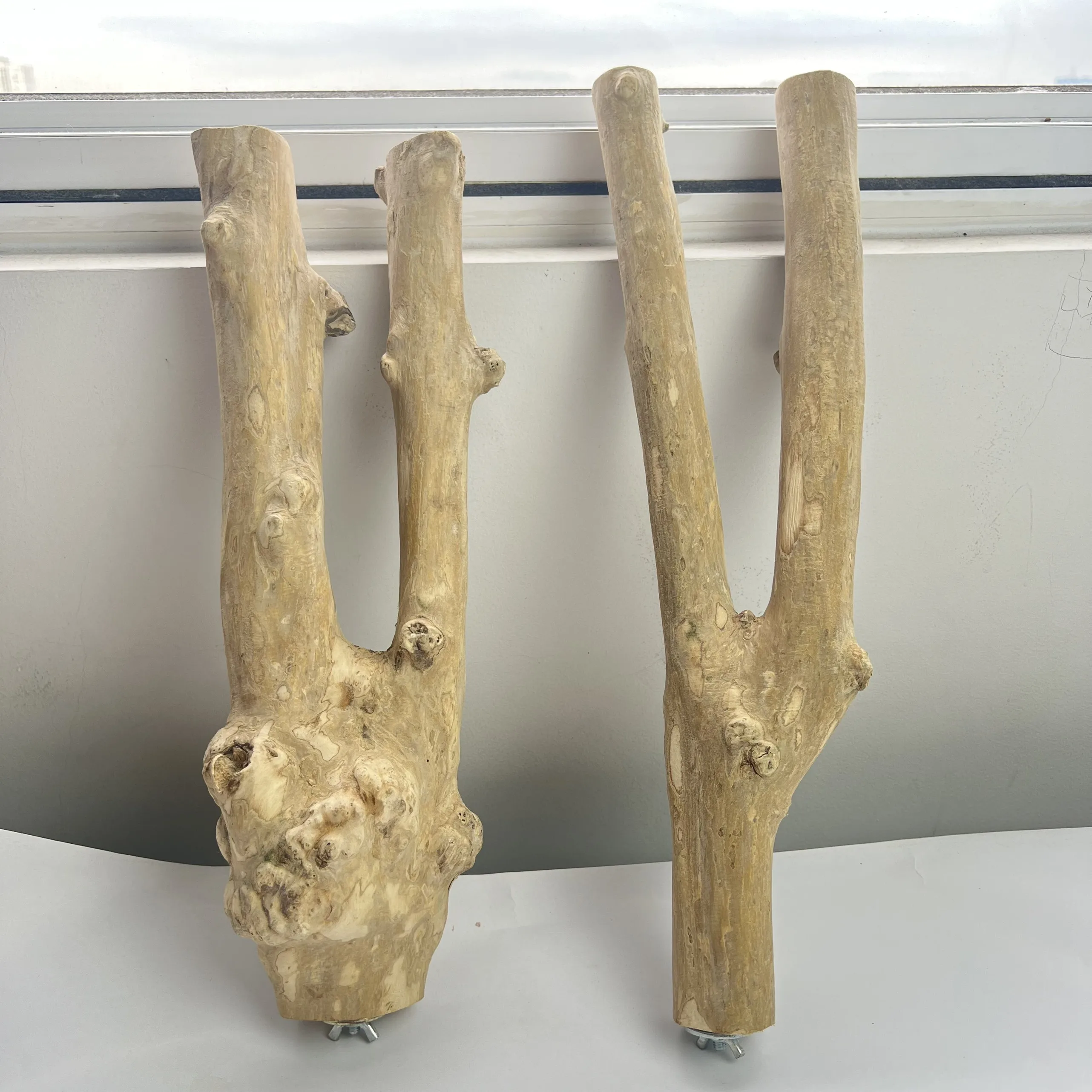 Bird Perch Coffee Wood Parrot Bird Perch Tree Stand Natural Java Wood ...