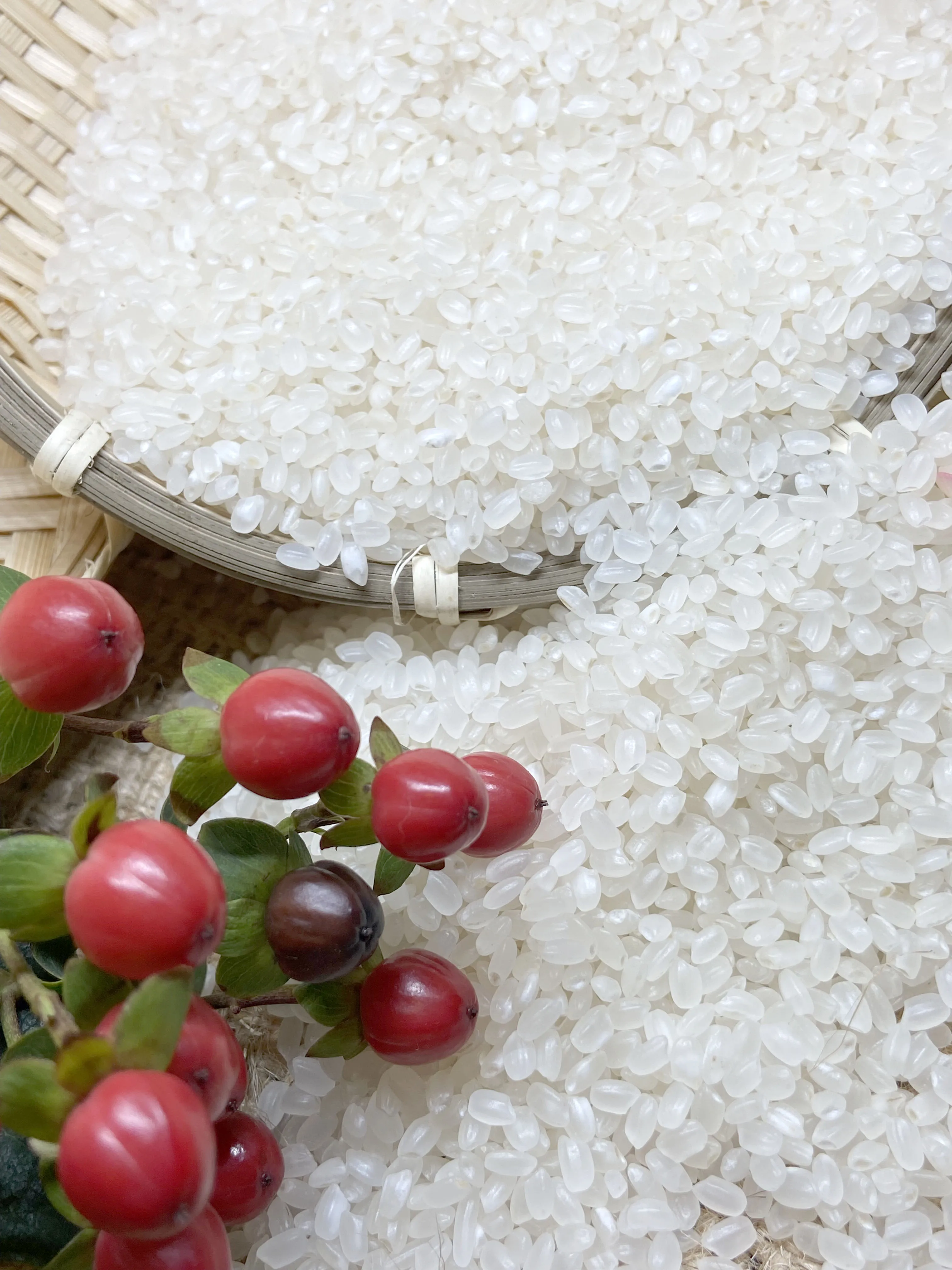 Quality Japonica Round Grain White Rice Meets Export Standards From A ...