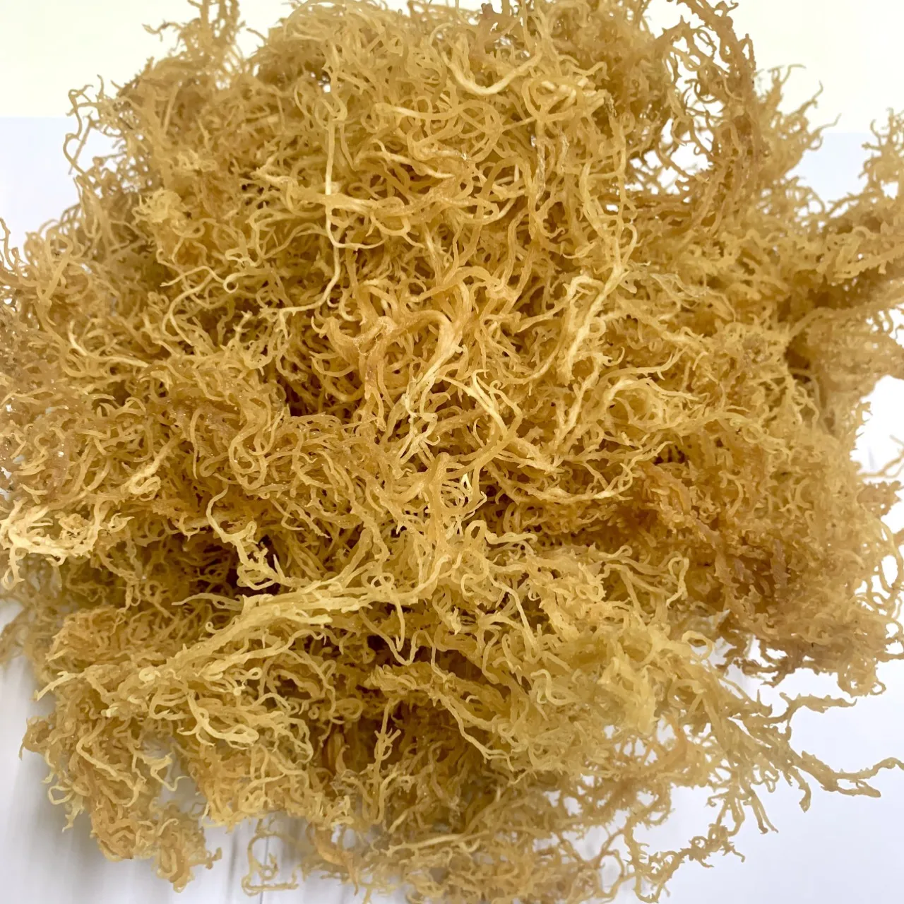 Superior Vietnamese Dried Eucheuma Seaweed: Affordable Excellence For ...