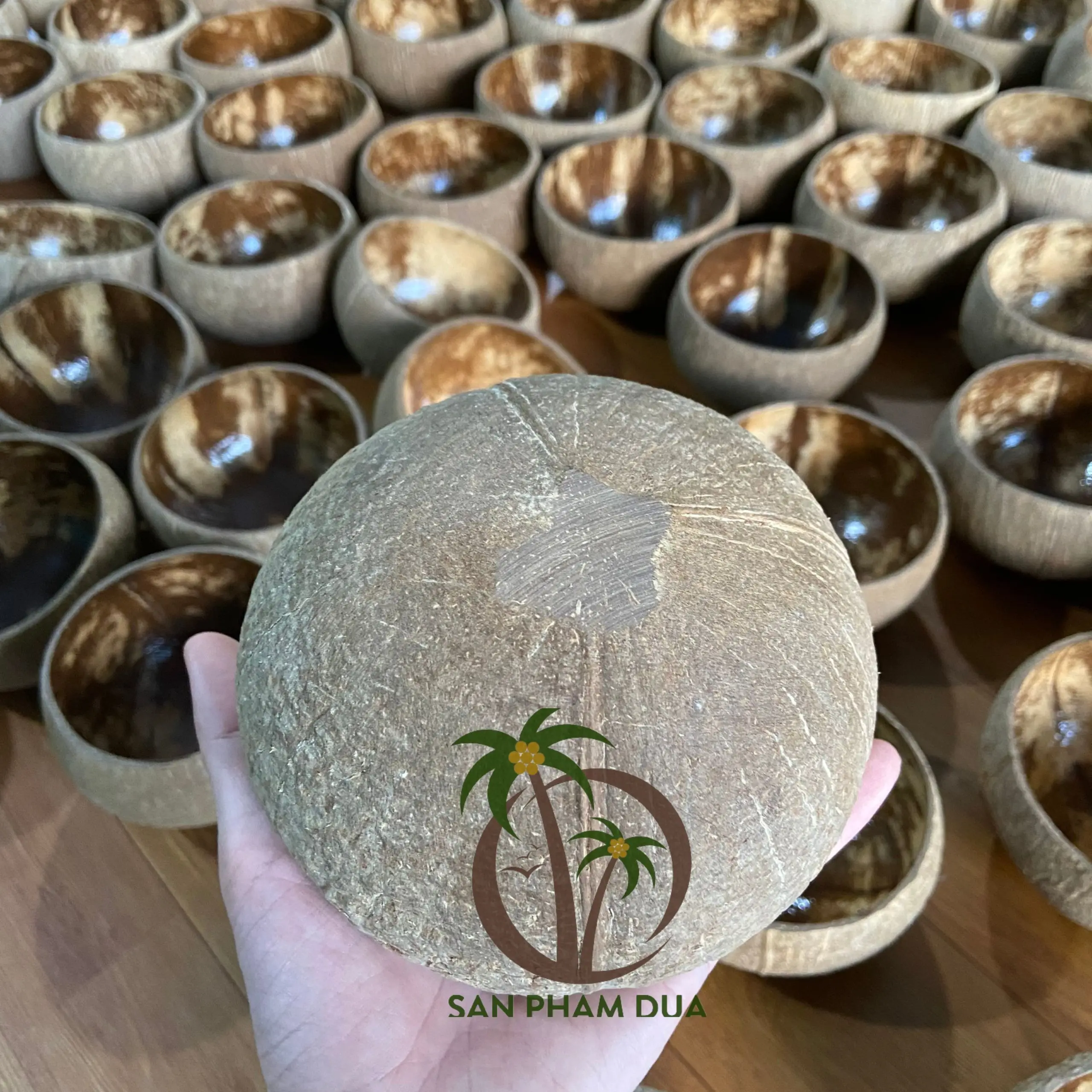 WHOLESALE COCONUT SHELL CANDLE HOLDER/ COCONUT SHELL for MAKING CANDLE ...
