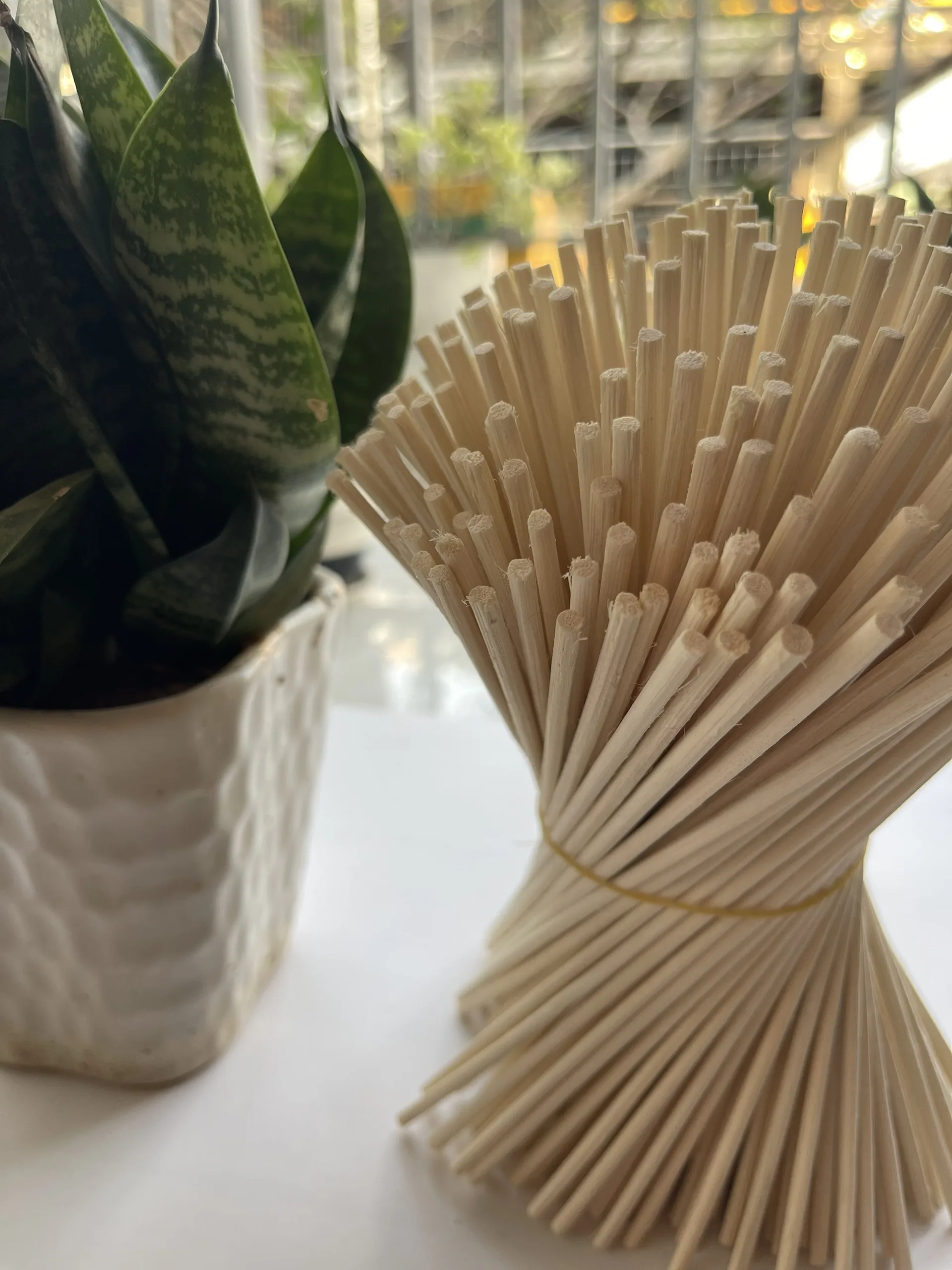 Natural Rattan Bamboo Diffuser Oil Replacement Reed Sticks 24cm X 3mm ...