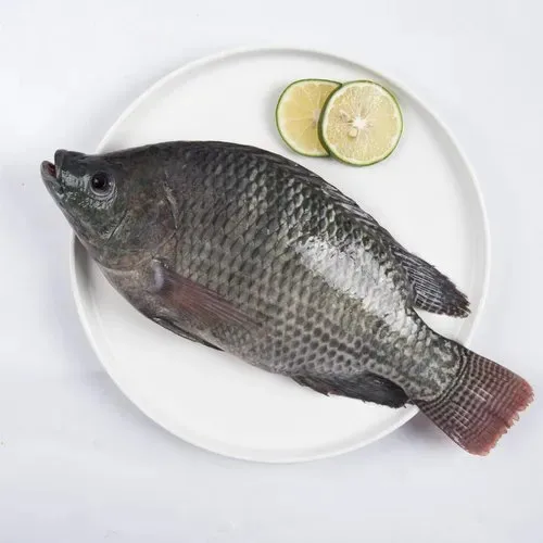 Raw Material Fish Scale Tilapia Cleaned By Chemical For Collagen ...