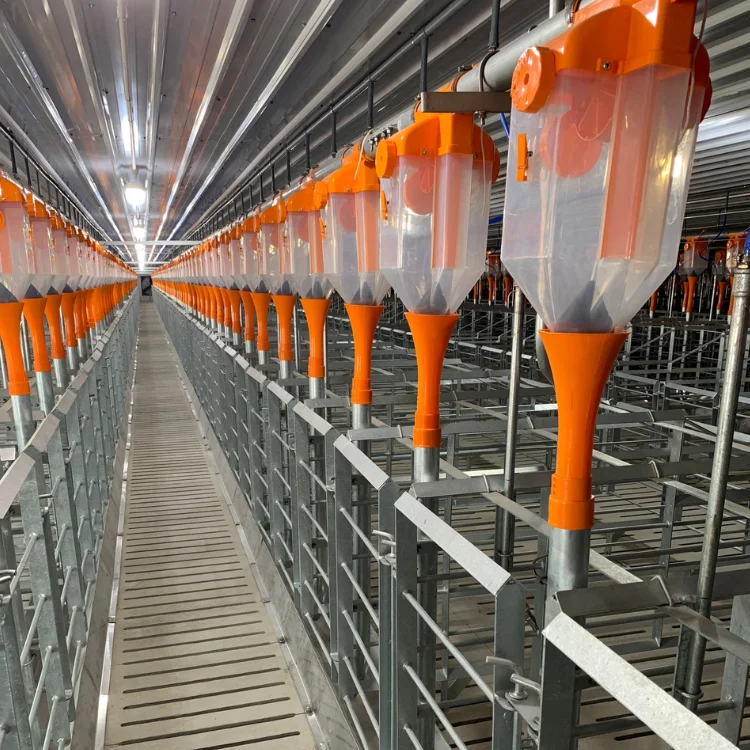 Plastic Drop Feeder for Pig/Swine Farm New Feed Dispenser in Automatic ...