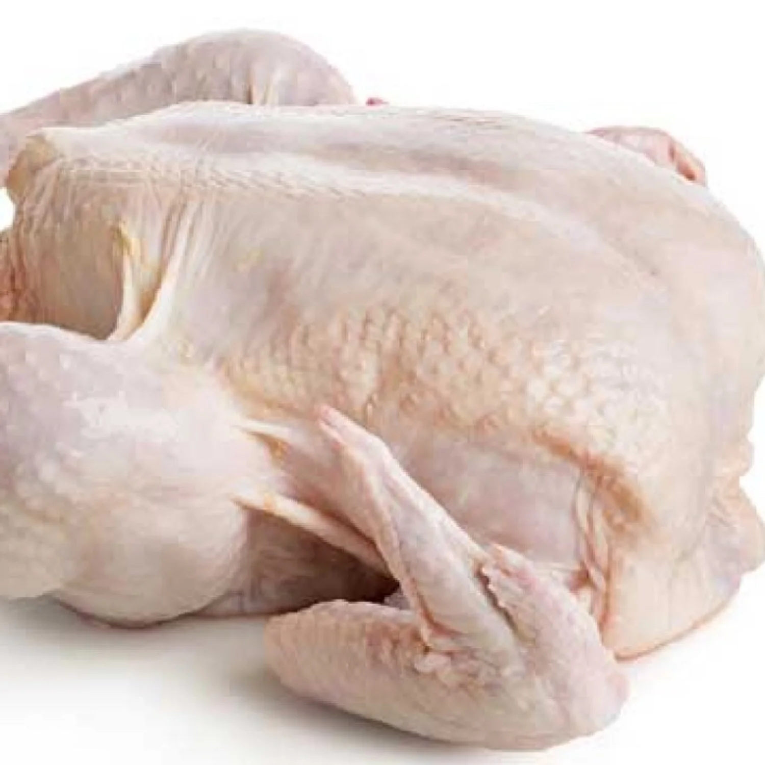 Halal Certified Frozen Whole Chicken From Turkey - Buy Whole Chicken ...