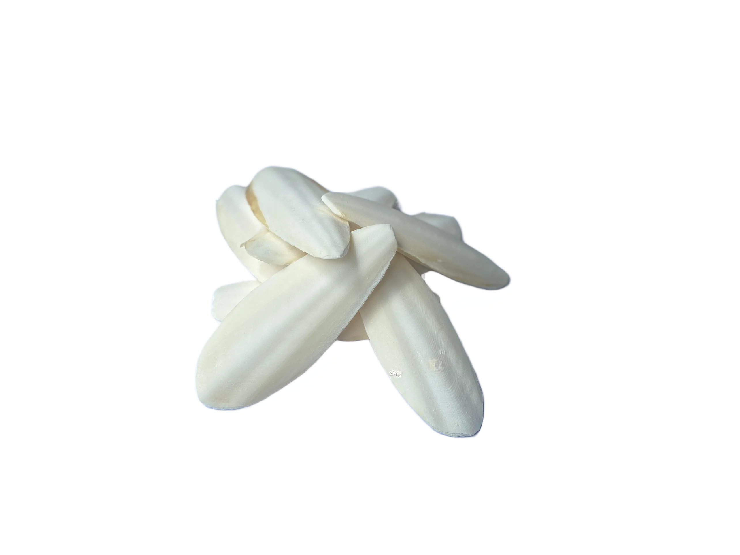 NEW ARRIVAL Cuttlefish Bone - Dried Cuttlebone/100% Natural for Parrot ...