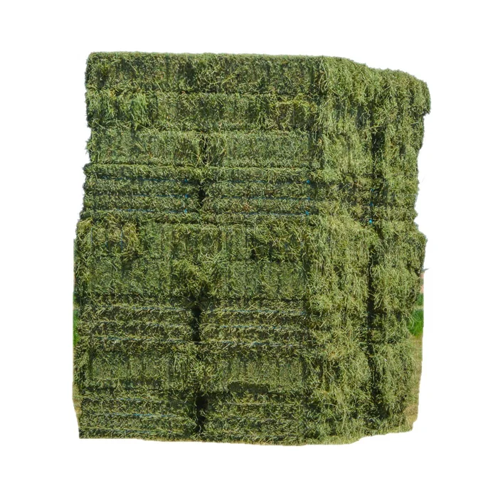 Quality Alfalfa hay Bays / Dehydrated Alfalfa Cubes Timothy hay Alfafa ...