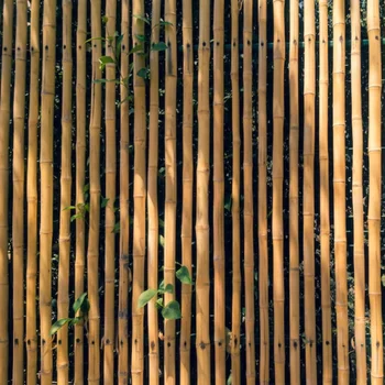 Bamboo Cane Bambu Stick For Plant Support Rods Or Bamboo Fence - Buy ...