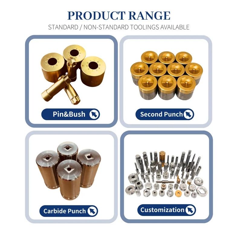 Taiwan Tungsten Carbide Punch And Die - Buy Punch And Die,Carbide Punch And Die,Tungsten Carbide ...