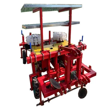 Pineapple Transplanting Planter,Two-row Seedling Planter,Adjustable ...