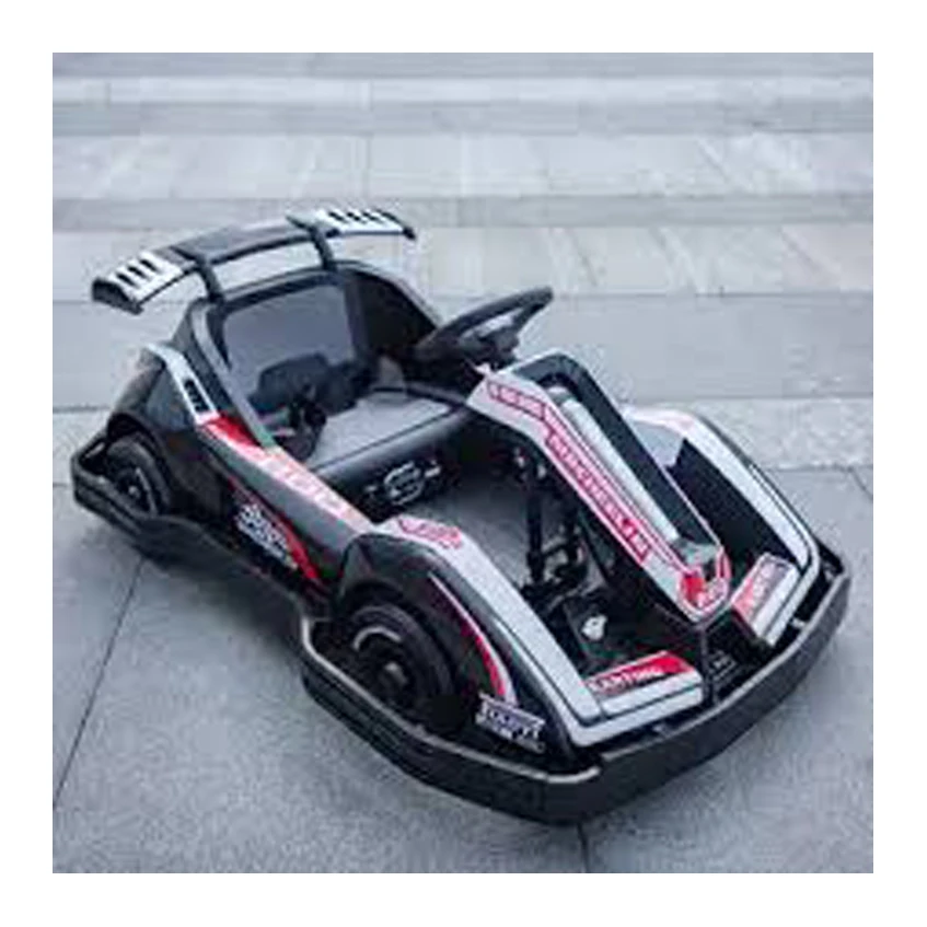 Outdoor Racing Electric Go-Kart - 500cc, 1000W Motor