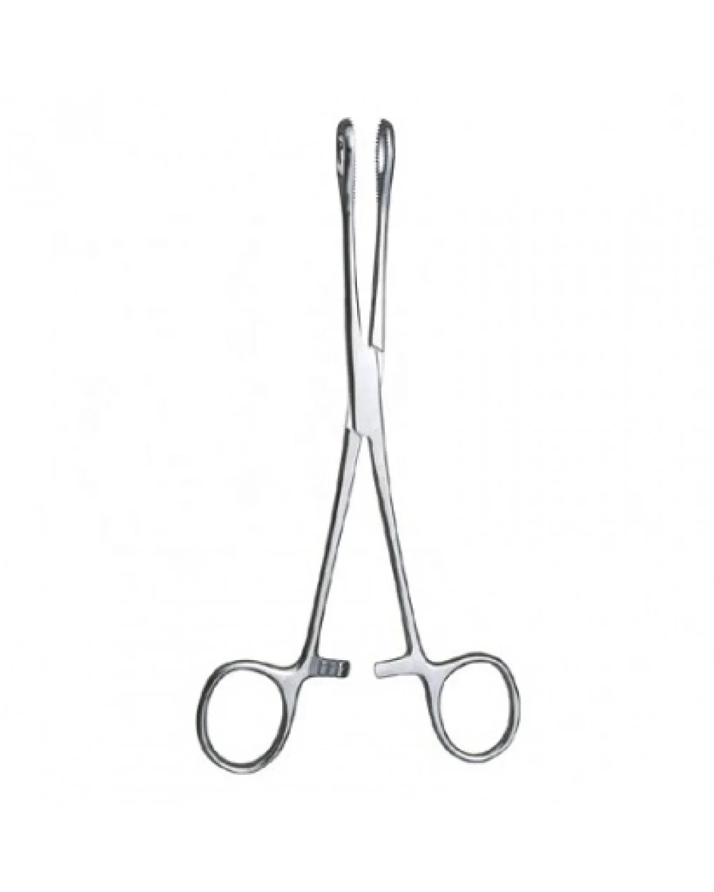 Alibaba.com: SIGAL MEDCO Single Use Straight Serrated Forceps ...