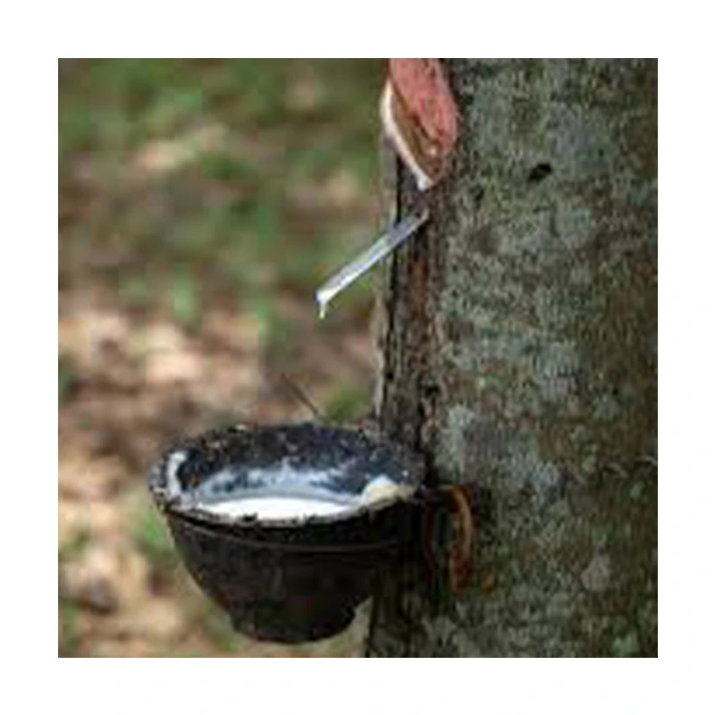 Premium High Quality Natural Latex High Ammonia Features With High ...