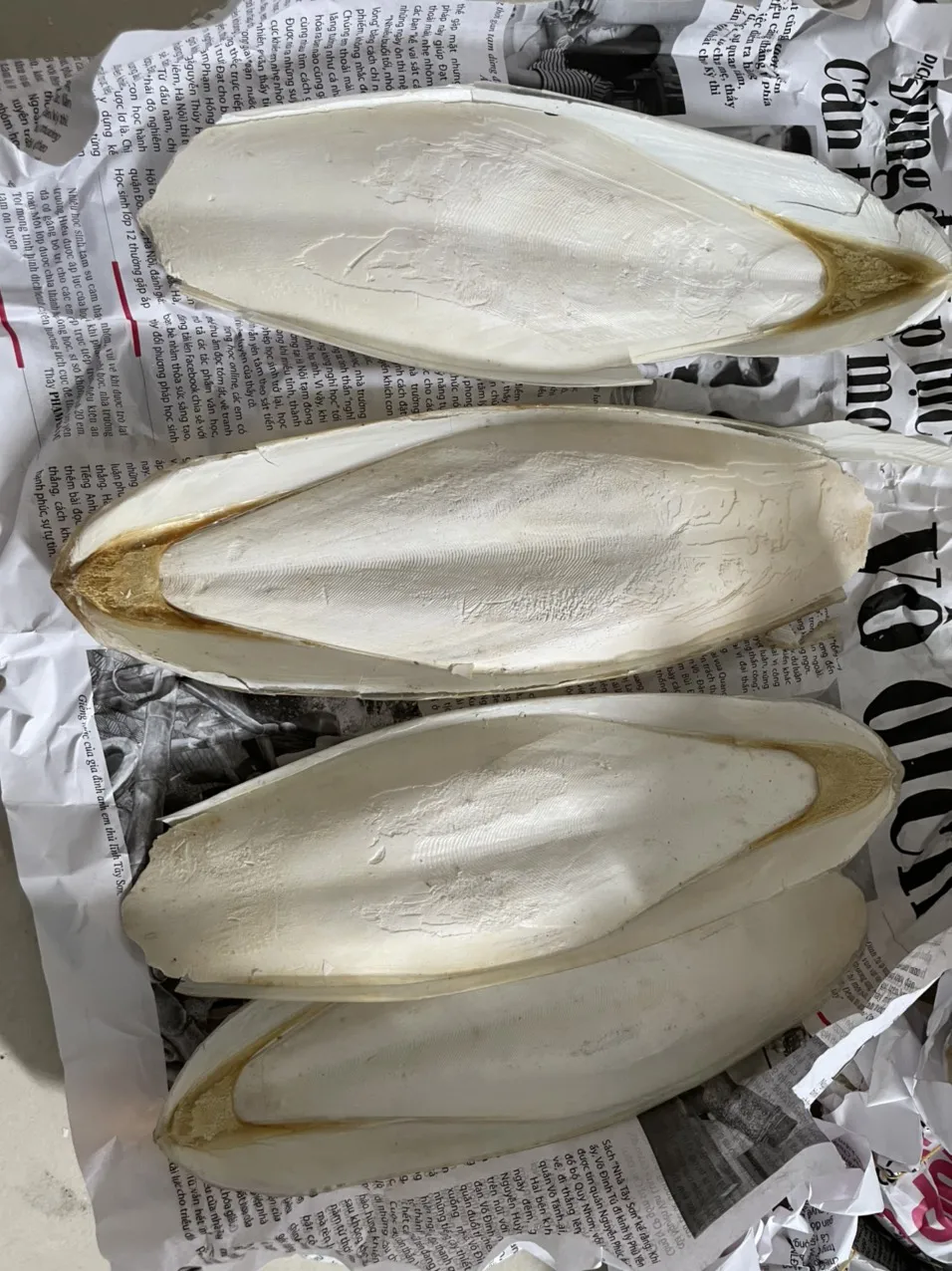 Cuttlefish Bones/ Dried Cuttlefish Bone/ Cuttle Fish Bone Cuttlebone ...