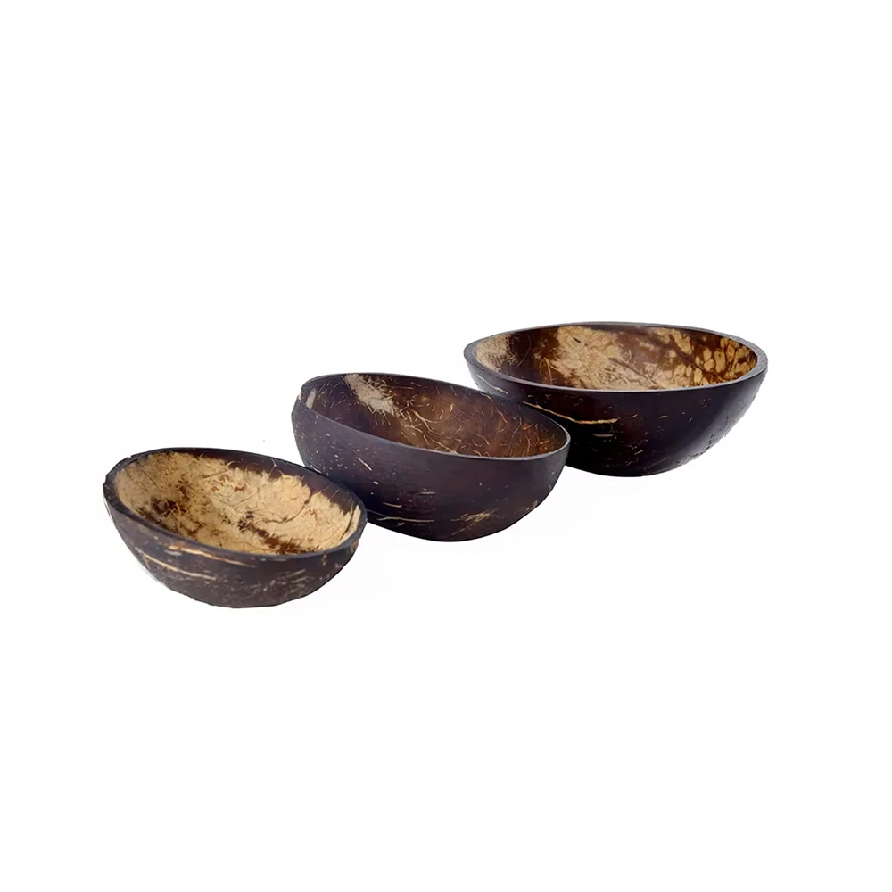 100% Natural Coconut Shell Bowls Disposable Modern Oval Wood Tableware ...