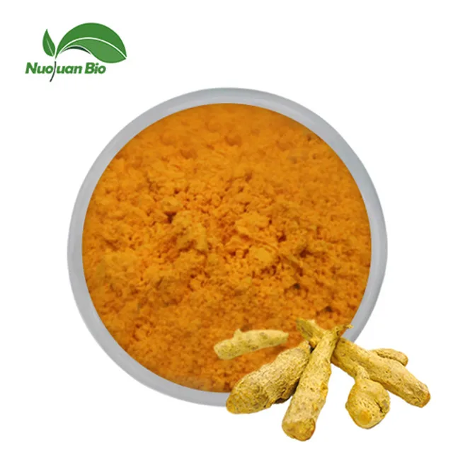 Bulk Turmeric Extract Powder - Buy Powerful Antioxidant,Anti ...