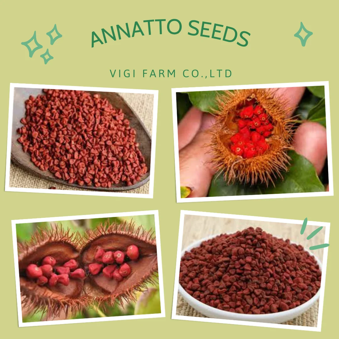 Best Seller ANNATTO SEEDS from Vietnam for Various Cuisines