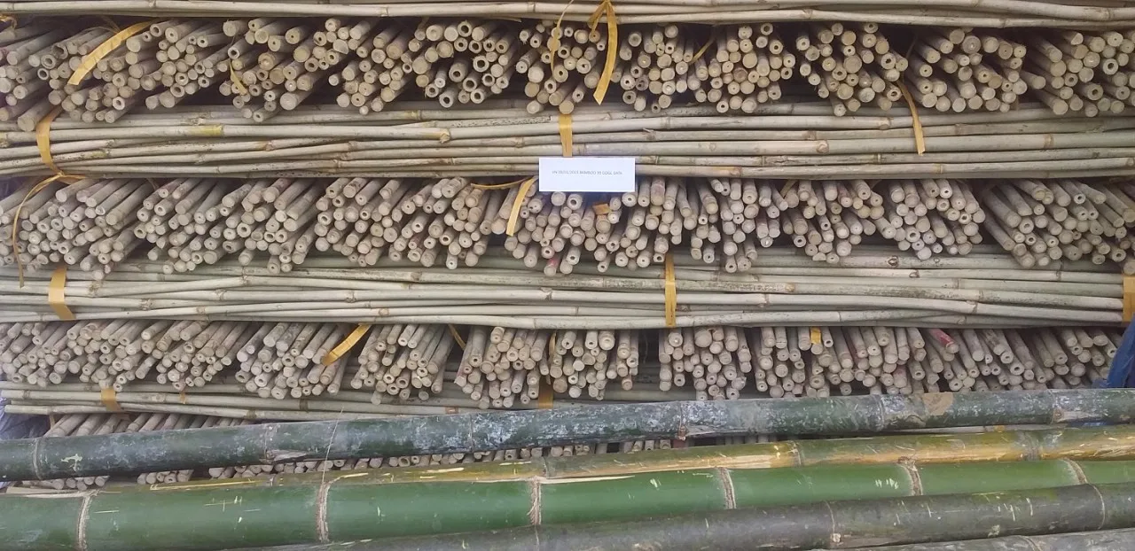 Strong and Straight Bamboo Poles Treated Nature Raw Bamboo Pole With ...