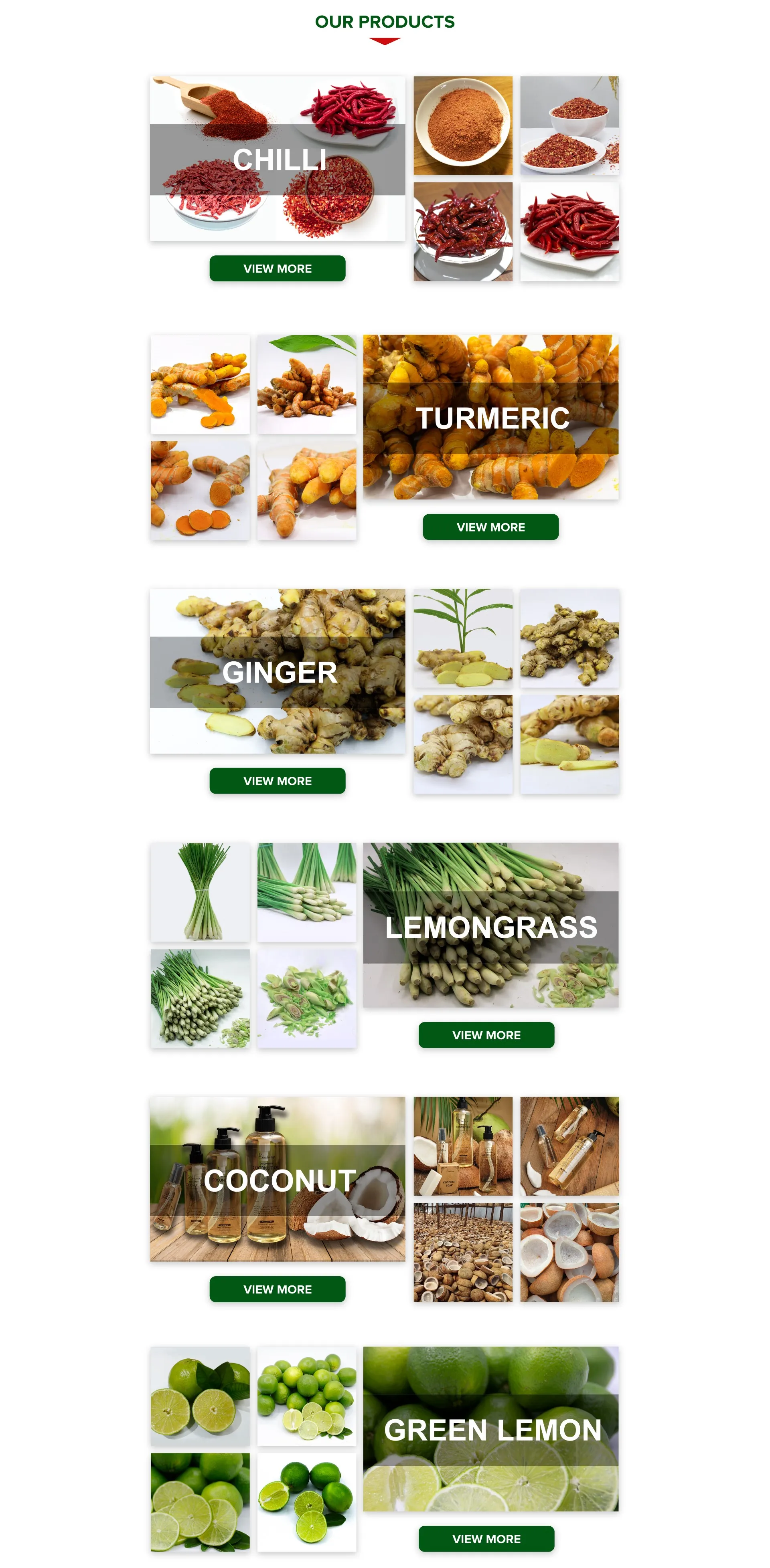 Fresh Ginger - High Quality Vietnamese Dried Ginger For Export / Cheap Price Fresh Ginger With ...