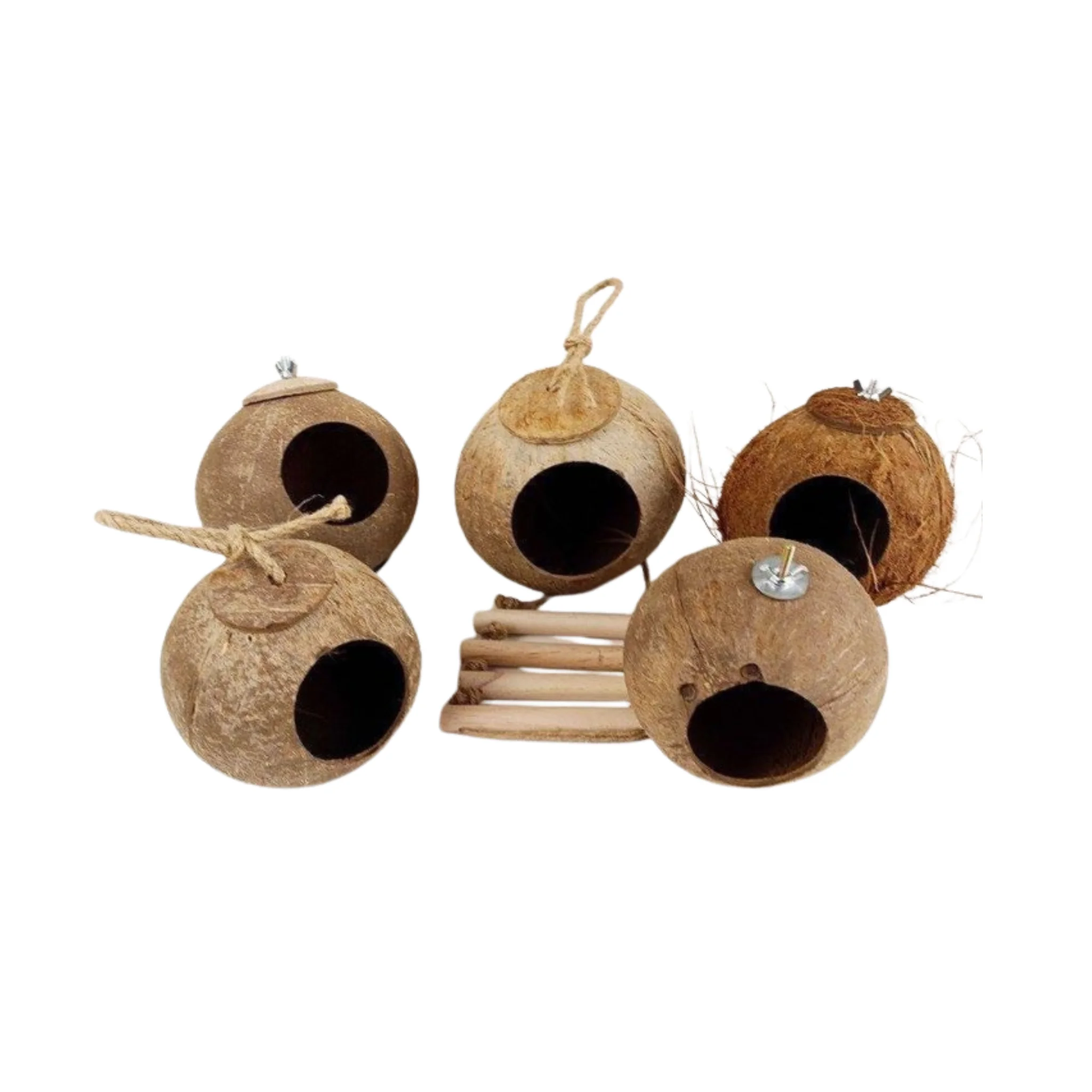 Biodegradable Natural Coconut Bird House / Coconut Shell Bird Nest ...