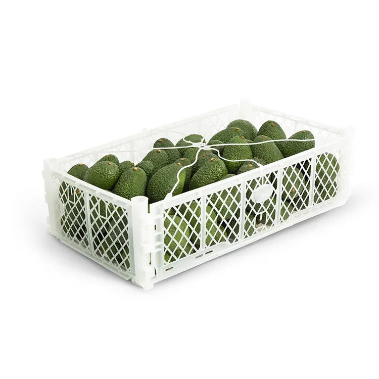 Transporting Tomatoes Avocado Stackable Nestable Vegetable Fruit ...