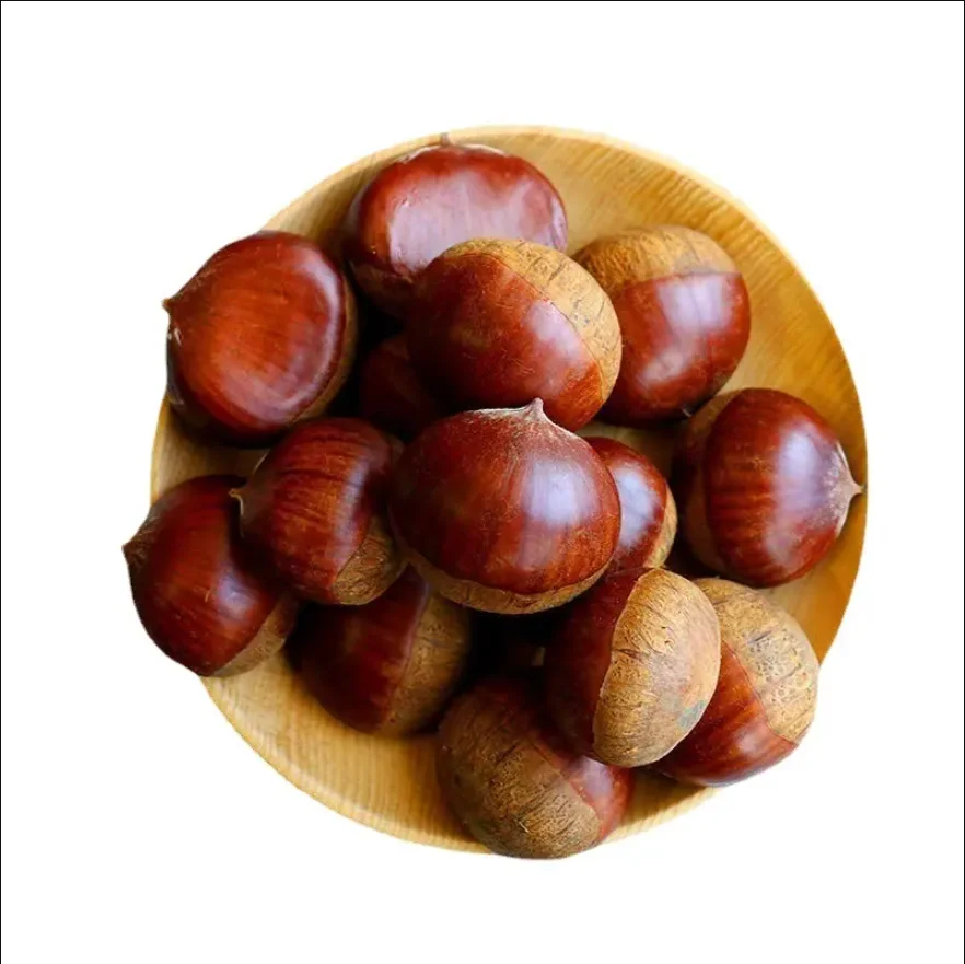 Hot Low Price Selling Raw Chestnut Available - Buy Healthy Snacks ...