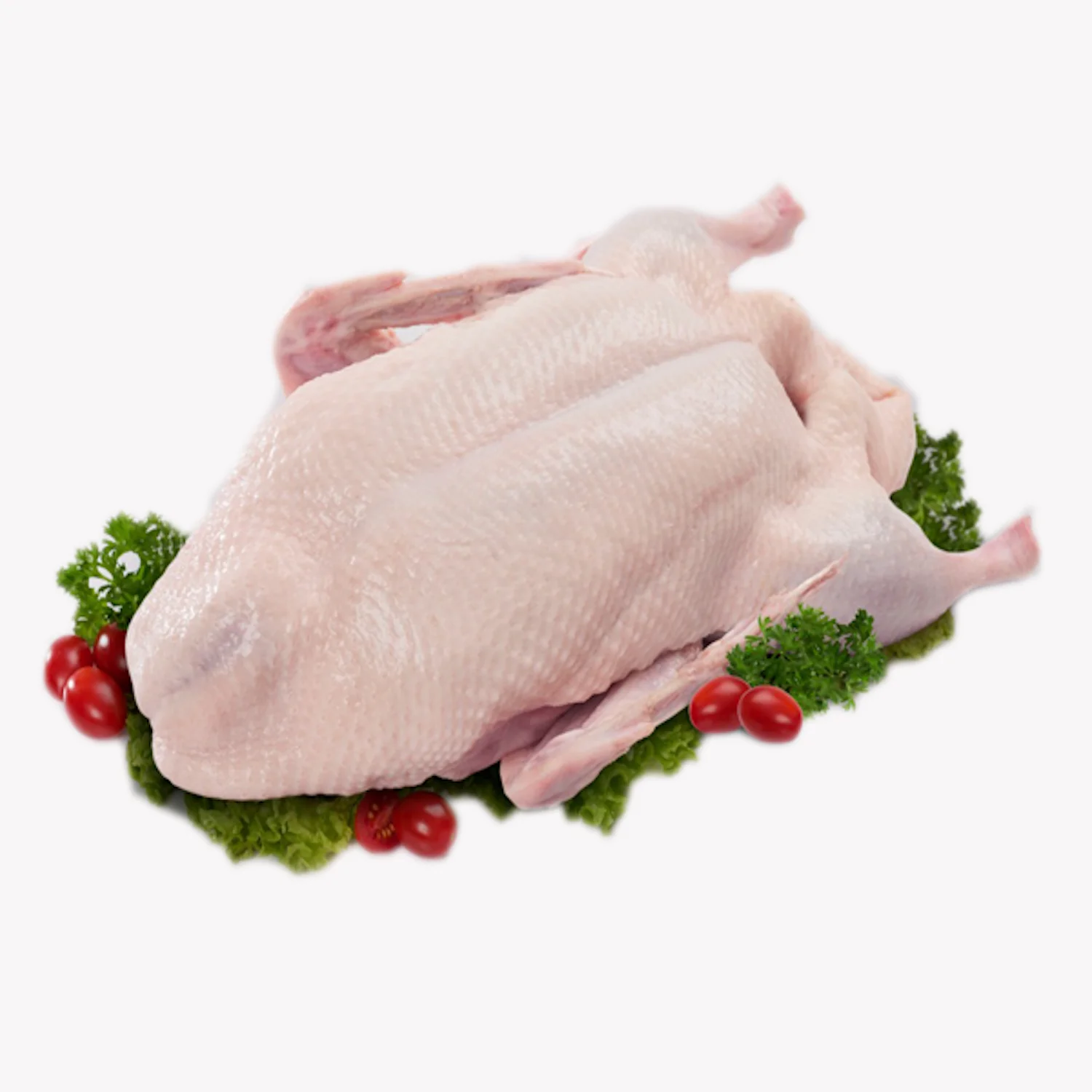 Top High Quality Frozen Duck Meat For Sales| Alibaba.com