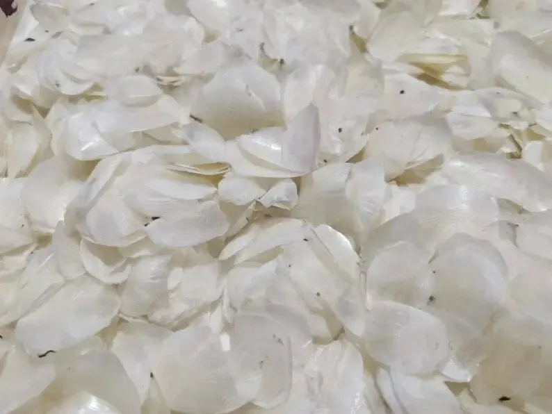 High Quality High Protein Dried Tilapia Fish Scales Decalcified ...