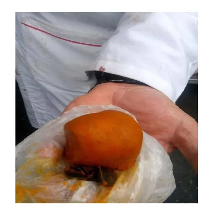 Gallstones 100% Pure Available For Sale At Very Competitive Prices ...