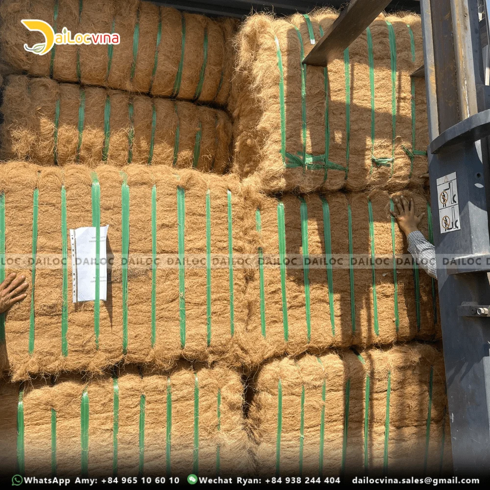 Vietnam Coconut Fiber For Sales - Coco Fiber With Best Price - Buy ...