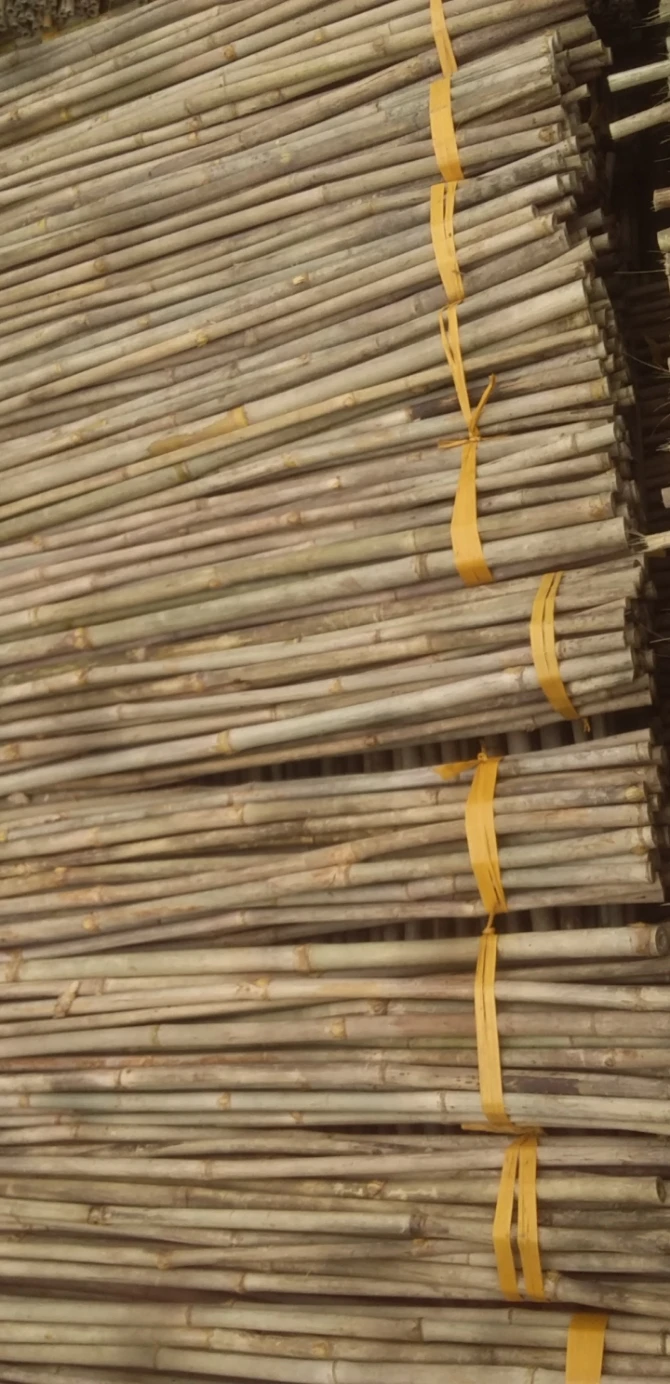Vietnam Natural Bamboo Pole Cane Strips Slats Stick