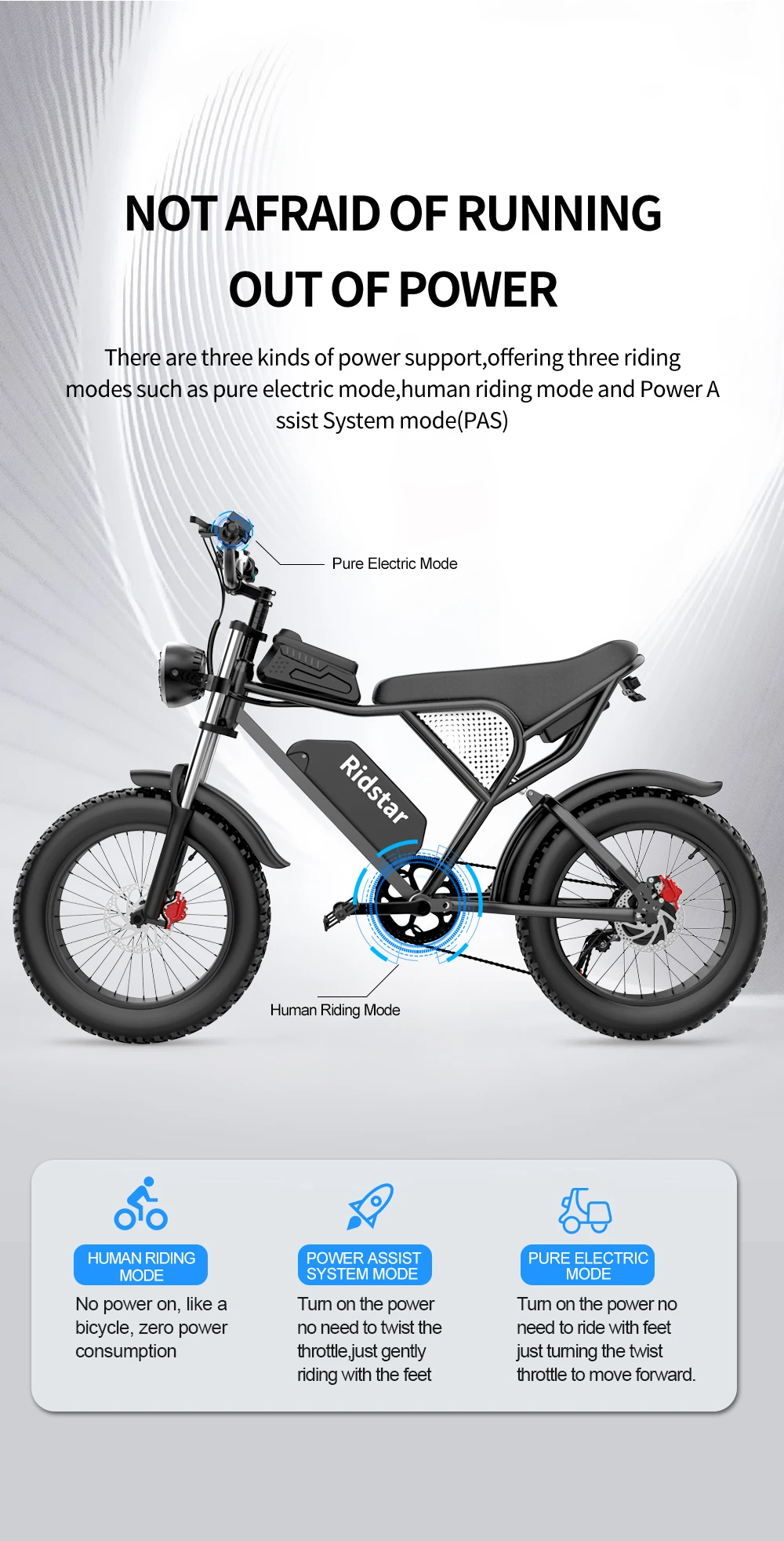 Electric bicycle Ridstar Q20, 1000W, 48V, 20AH, 20×4.0 Fat tires - RIDSTAR electric bikes ...