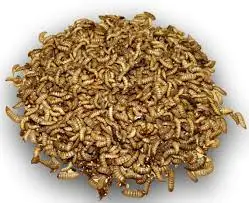 Well Clean Dried Black Soldier Fly Grubs Larvae Organic Nutritious Pet ...