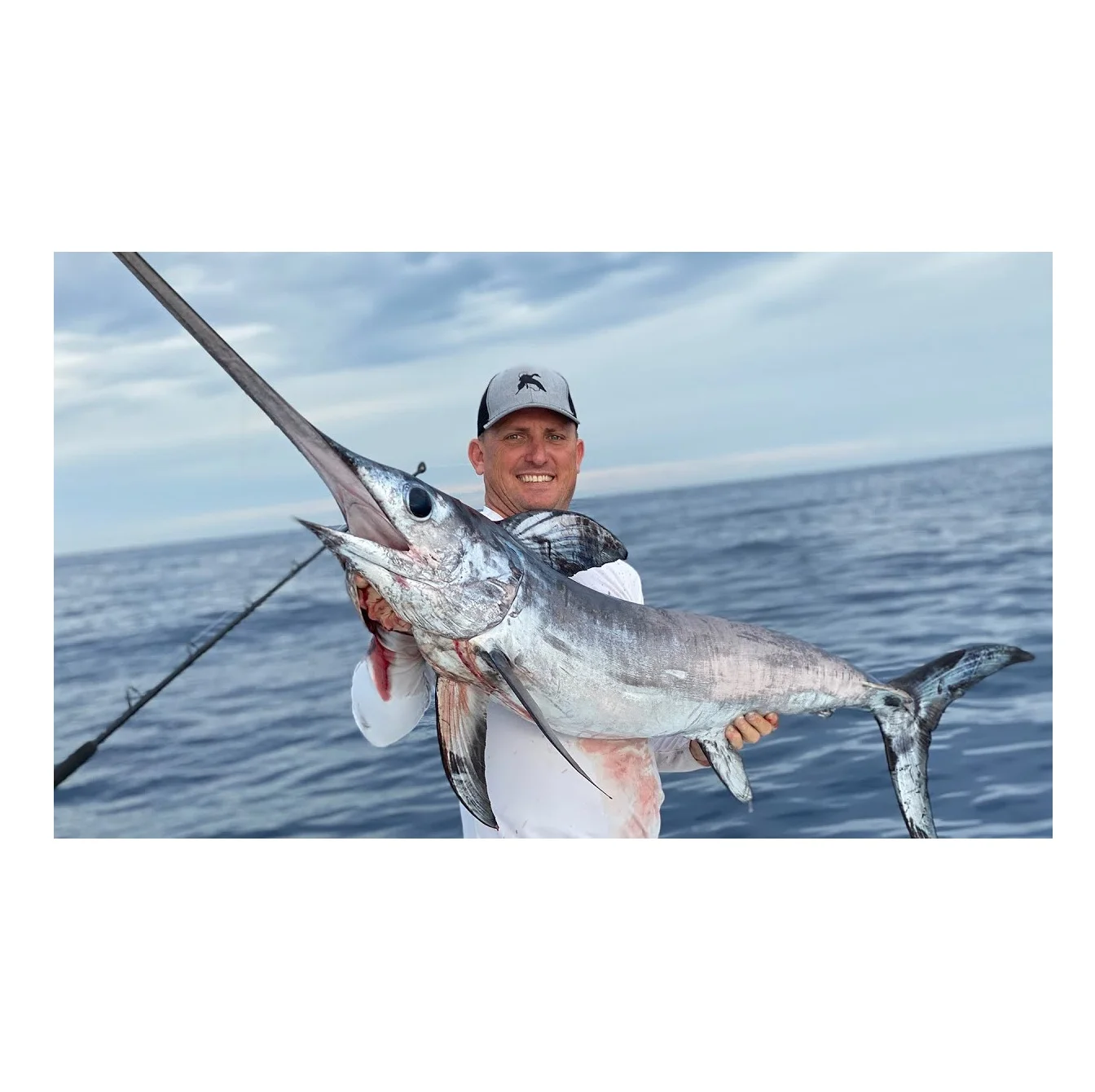 High Quality Frozen Sword Fish Headless And Cleaned At Cheap Price ...