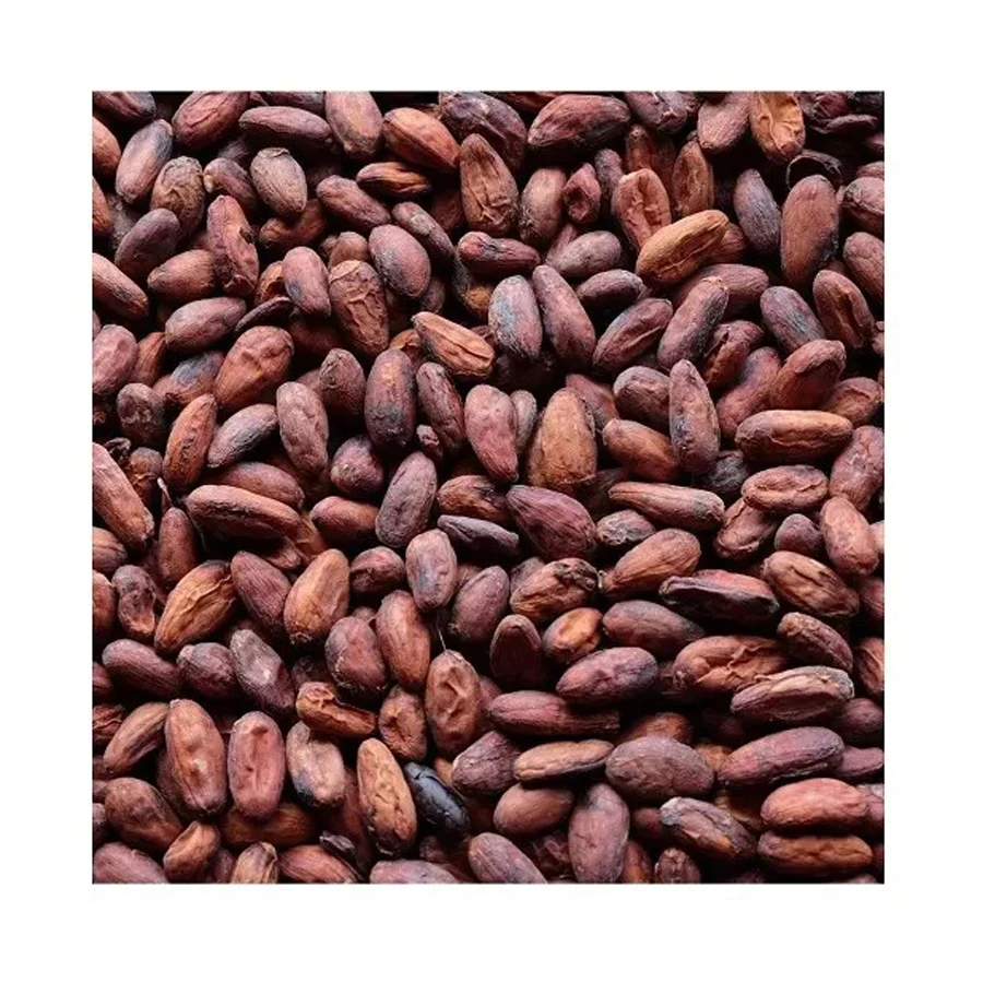 High Quality Brazil Cocoa Beans 100% Natural - Buy Cheap Wholesale Top ...