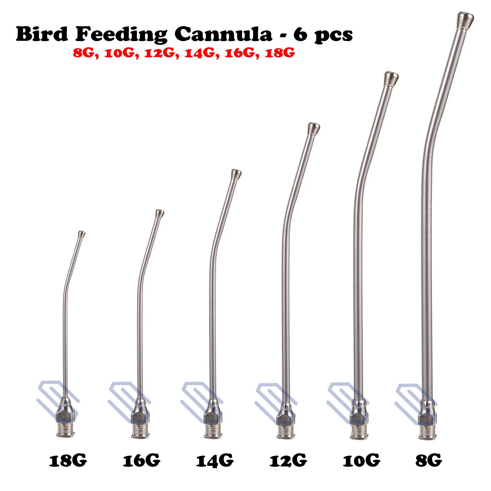 Birds Feeding Syringe Manual Feeding Rearing Gavage Curved Needle ...