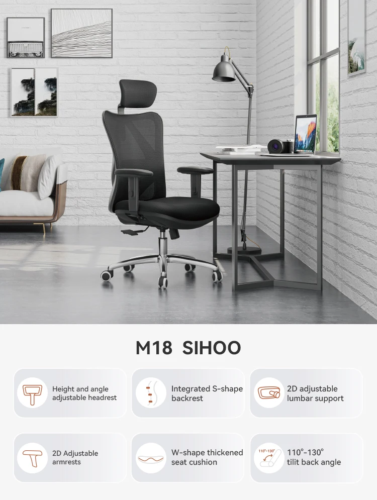 Sihoo M18 Ergonomic Mesh Office Chair with Adjustable Lumbar Support ...