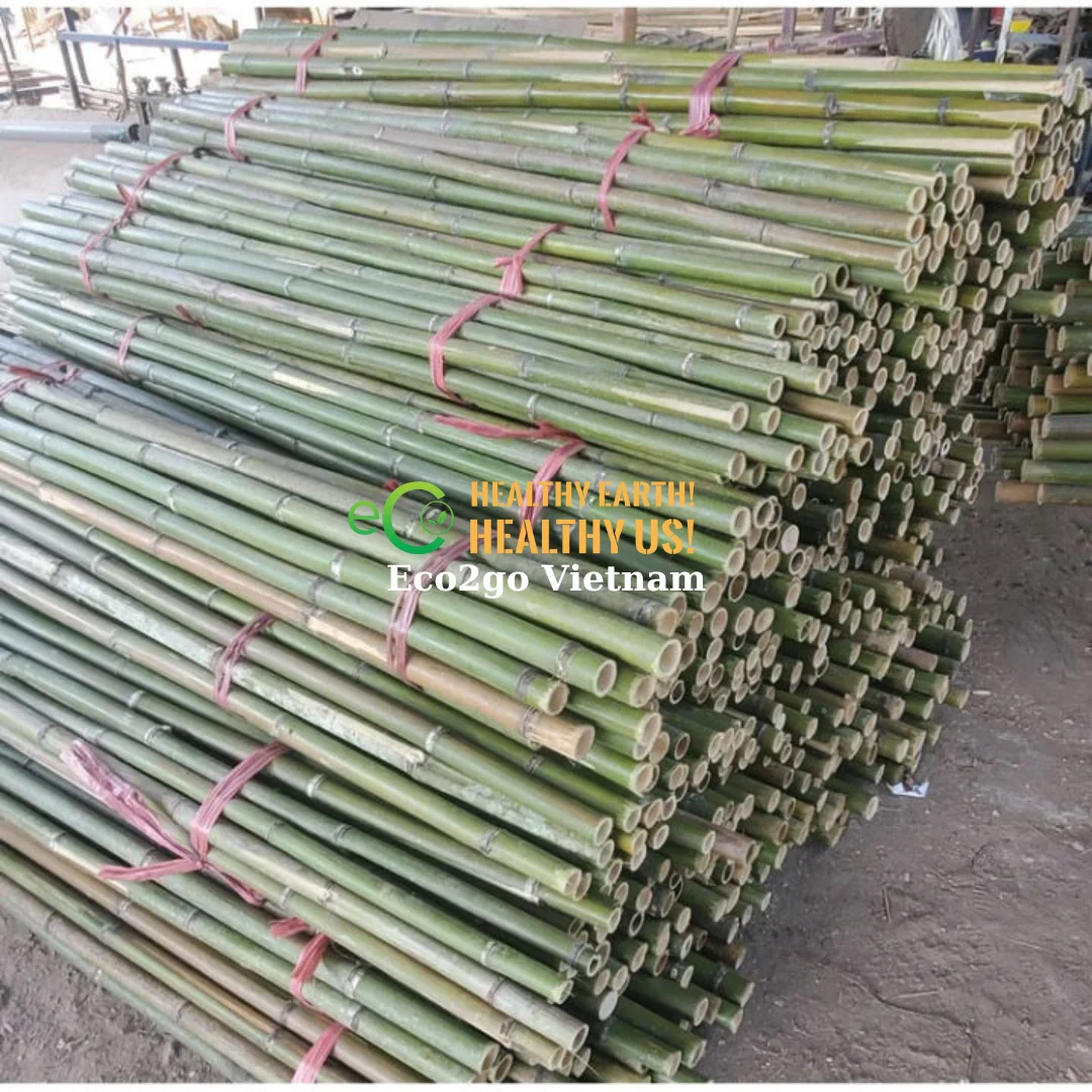 100% Biodegradable Bamboo Poles for Construction & Support