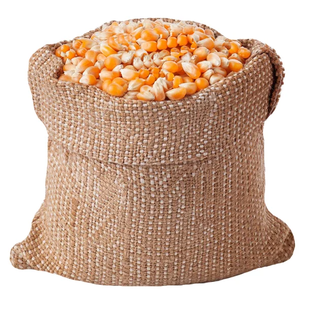 Corn Kernels Top Style Storage Packing Mature Food Grade 1 White And ...