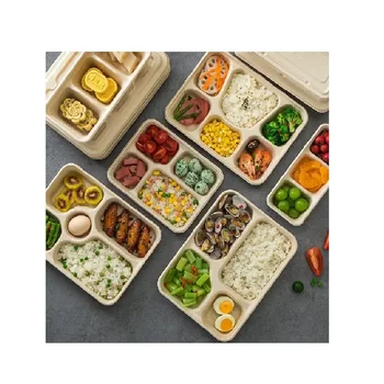 Cheap Oem Food Takeout Disposable Biodegradable 6 Compartments Lunch ...