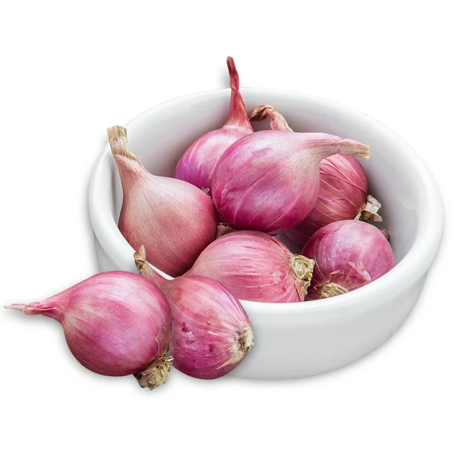 Fresh Red and Yellow Onions from Turkey - Durable & Versatile