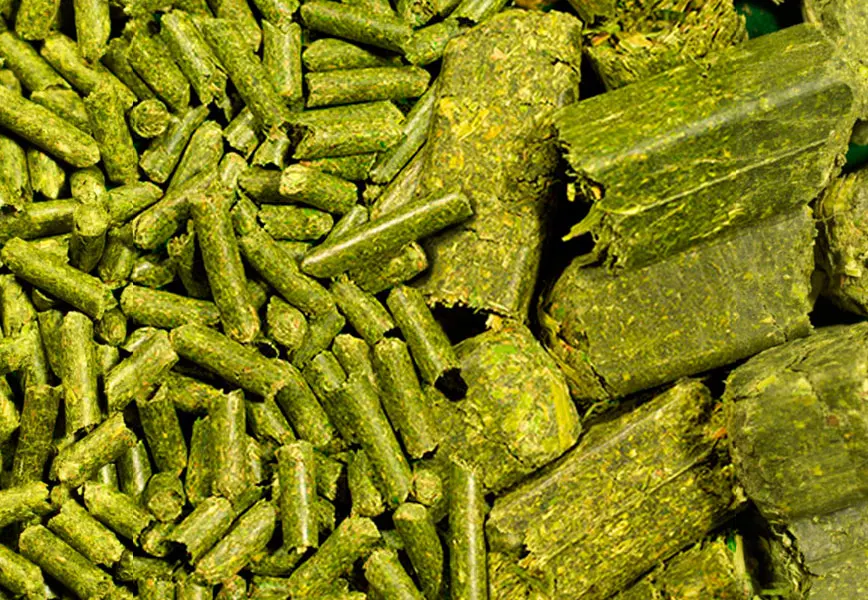 Granulés De Luzerne À Utiliser Comme Aliments Pour Animaux Pour Le ...