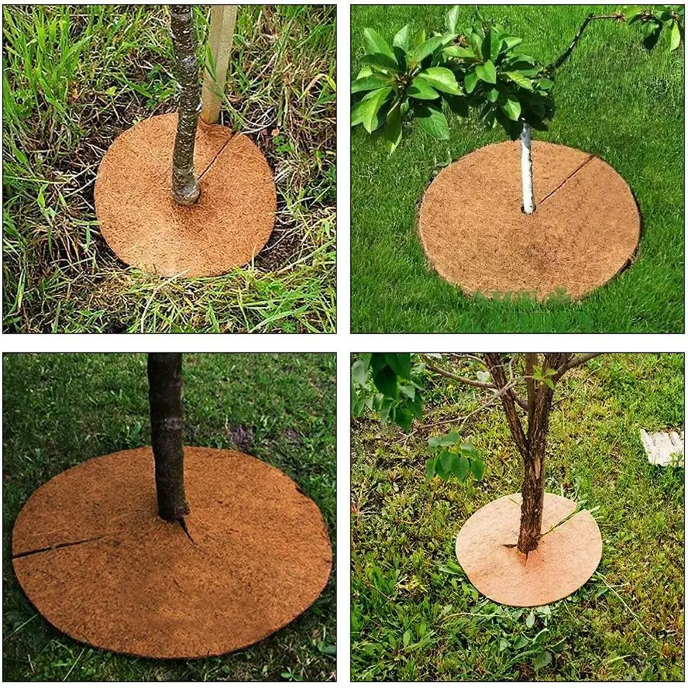 Best Deal 2024 Coco Fibre Mulch Mat - 8 Inch Coconut Coir Fibre ...