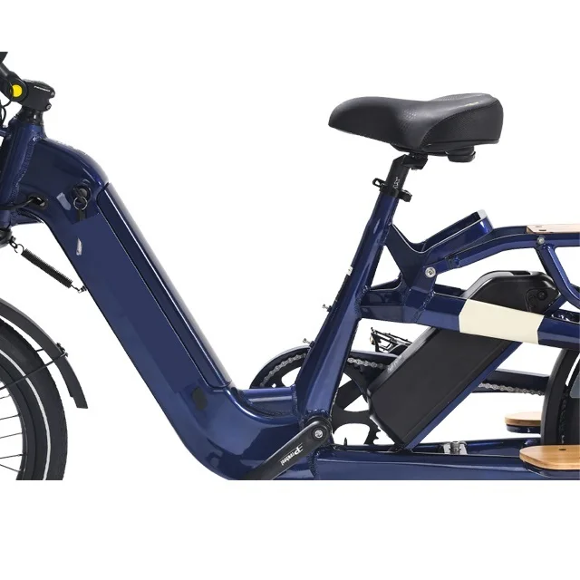 2 Battery Electric Cargo Bicycle Long Range Electrically Cargo Bike 2 ...